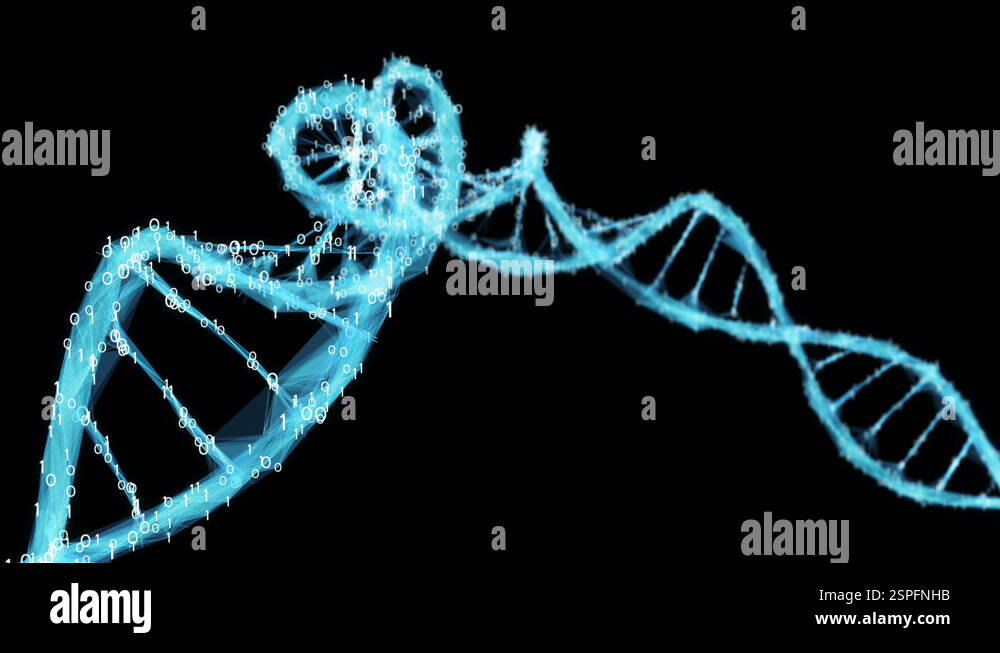 Motion Background Digital Binary Polygon Plexus Dna Molecule 4k Loop Alpha Matte Stock Video