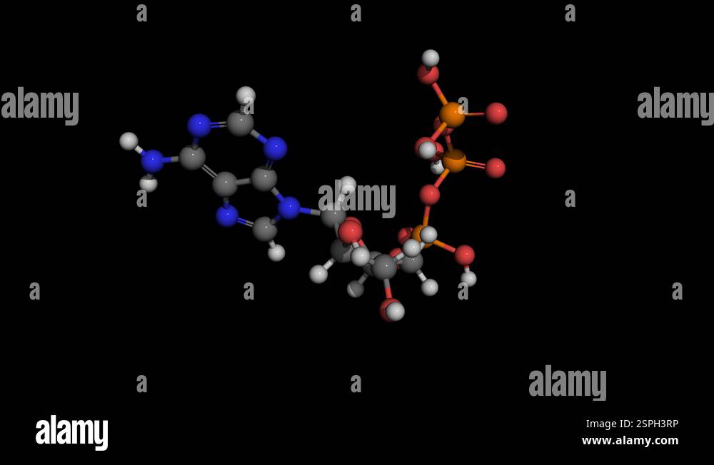 Adenosine model Stock Videos & Footage - HD and 4K Video Clips - Alamy