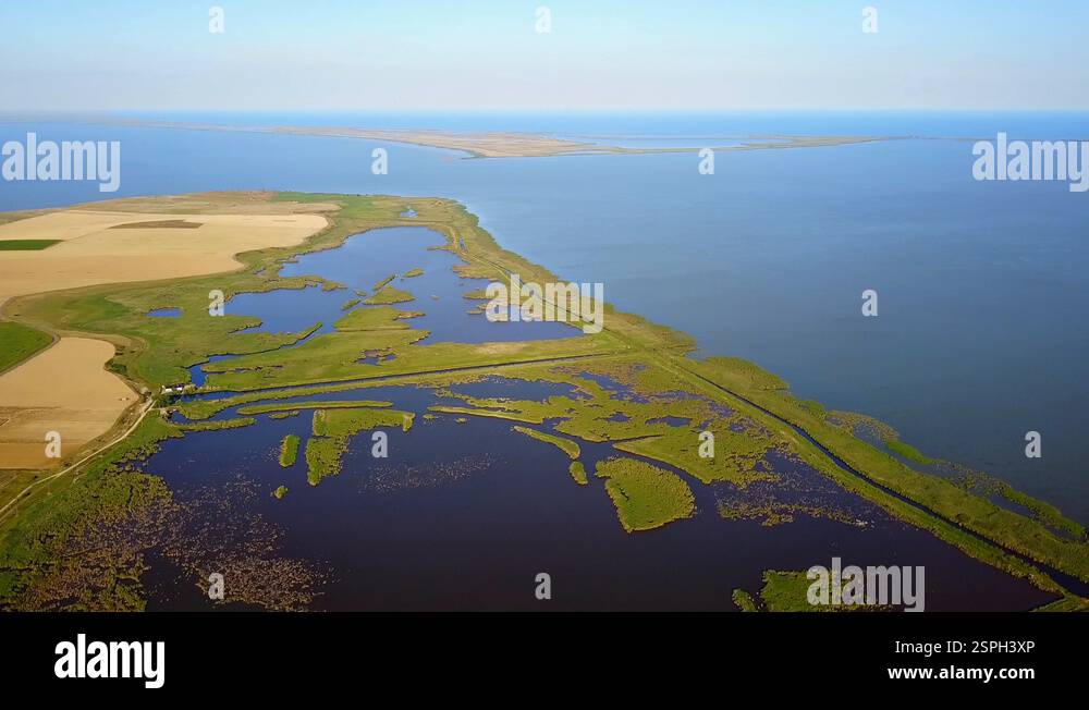 Razim-Sinoe lagoon located in the south part of the Danube Delta Stock ...