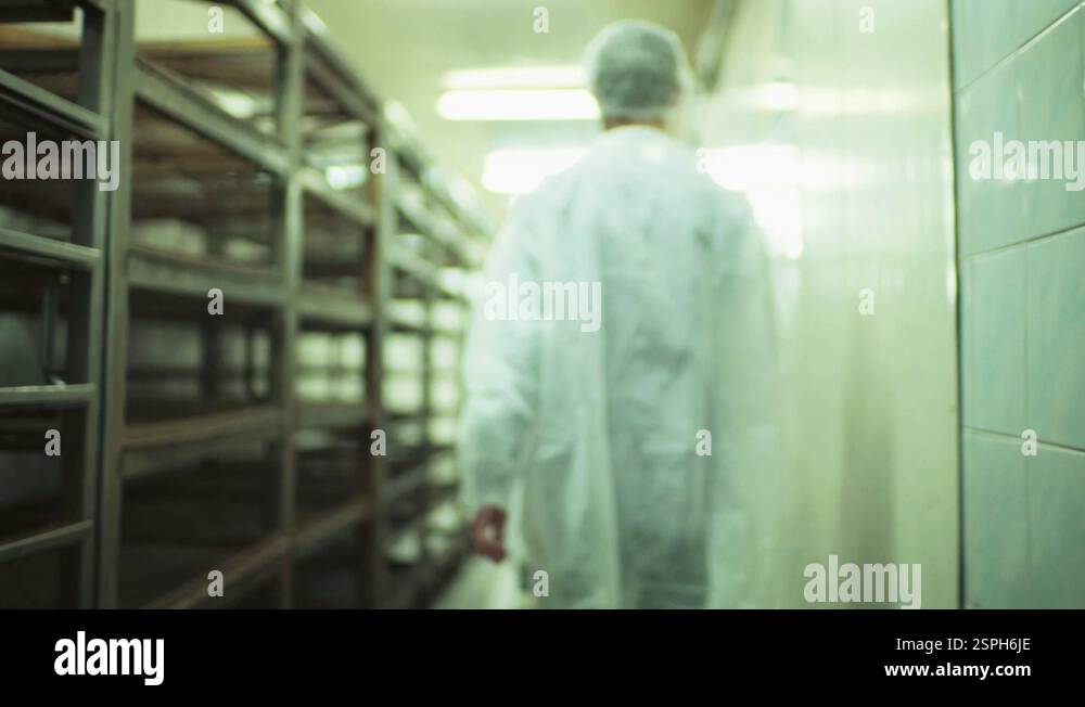 Back view of factory workers in the uniform passing by shelves, walking ...