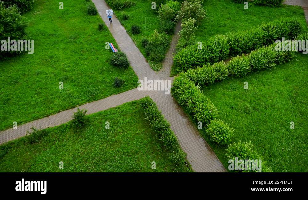 intersection amidst greenery Stock Video Footage - Alamy