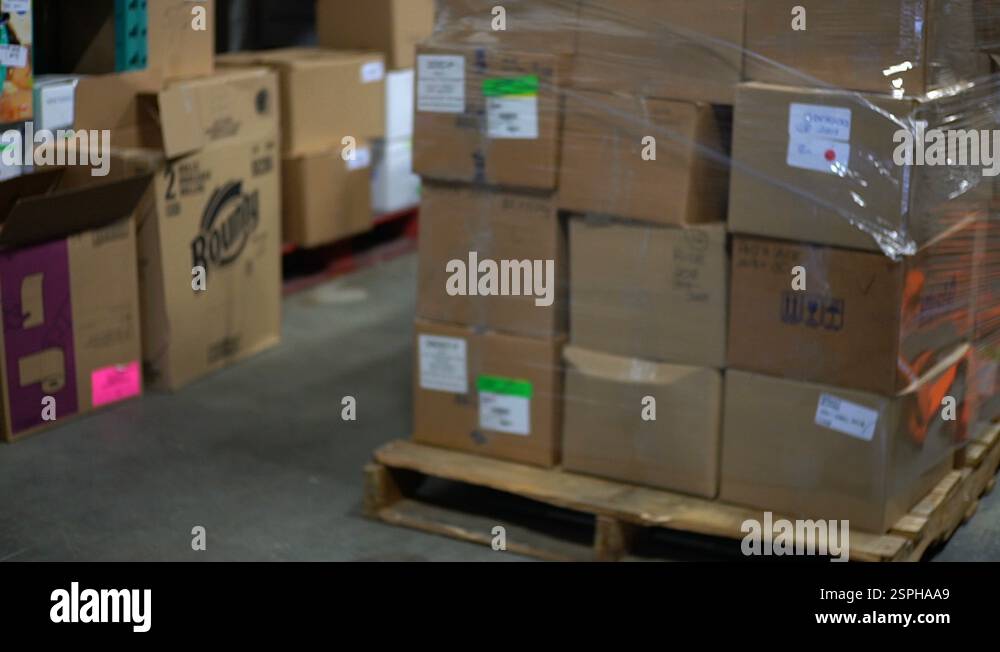 Manual Forklift Stacker Operation - Boxes Shipping Transportation Work ...