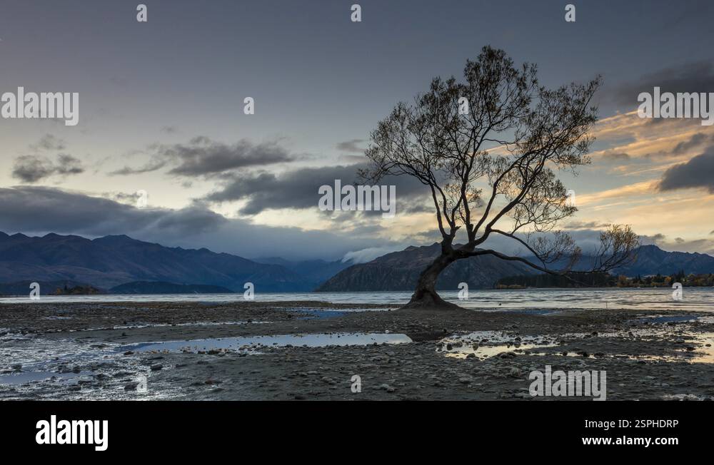 Time Lapse - Lake Wanaka with That Wanaka Tree at Sunset during low ...