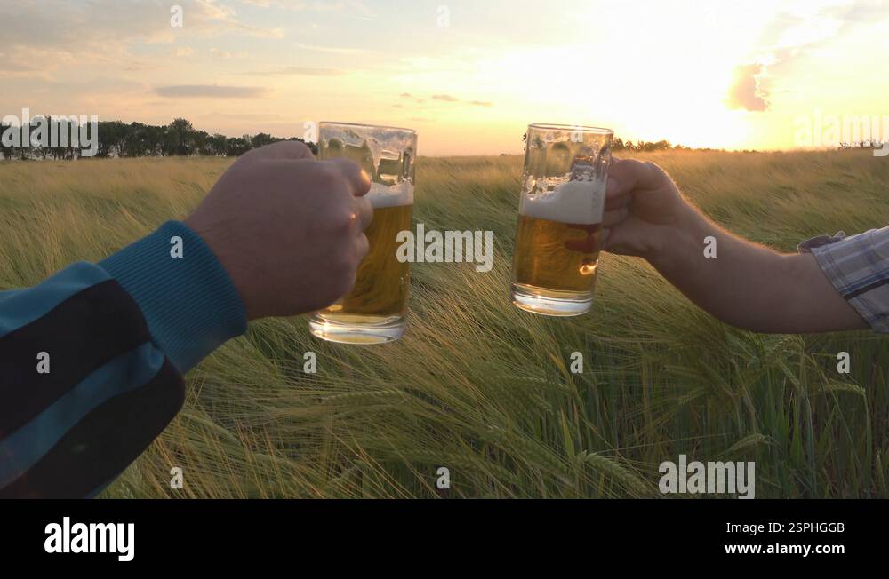 Two farmers toast with beer in field Stock Video Footage - Alamy