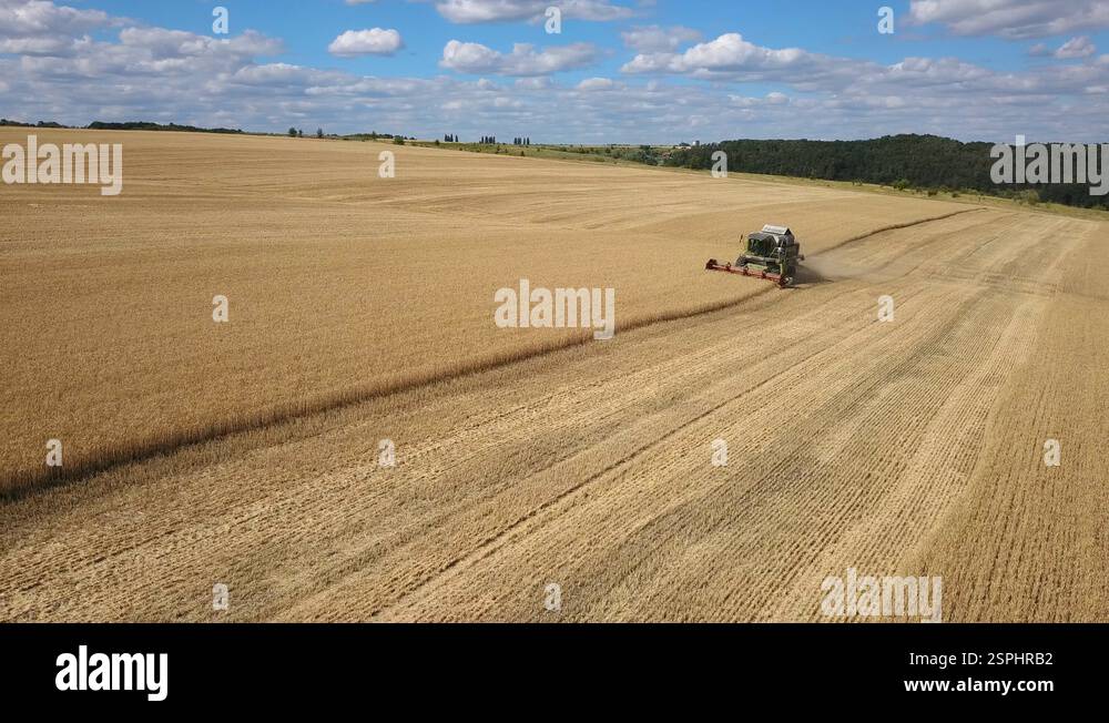 Harvesting wheat field agricultural machine Stock Videos & Footage - HD ...