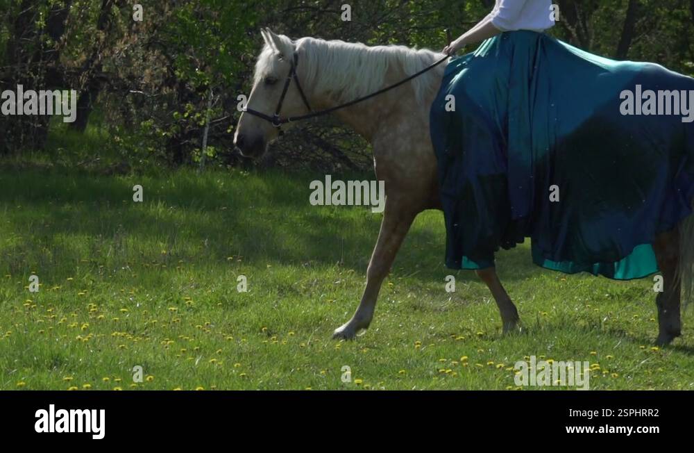 A girl with long hair, riding a horse in a long green and blue ...