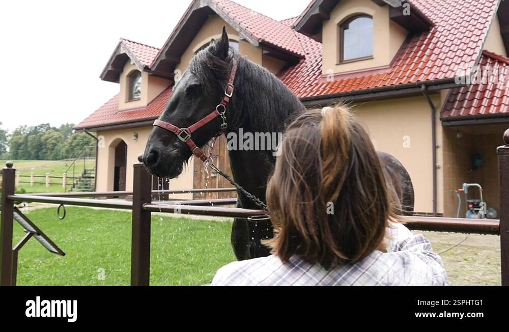 Stable female worker young woman cares washes the horse with water jet ...