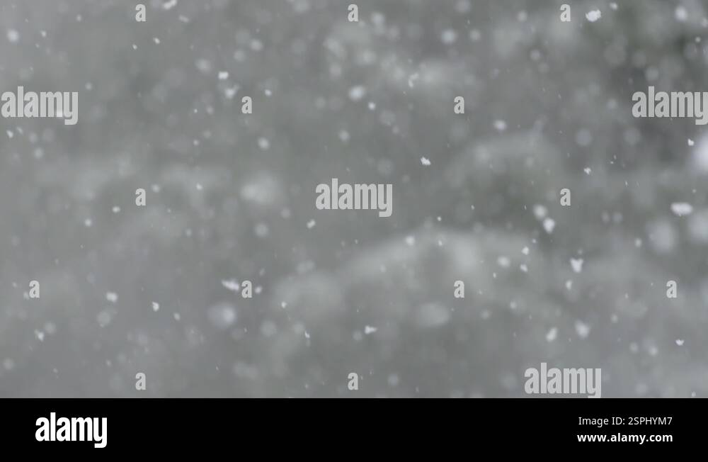 Slow motion snowfall pan down to ledge with snowy trees in background ...