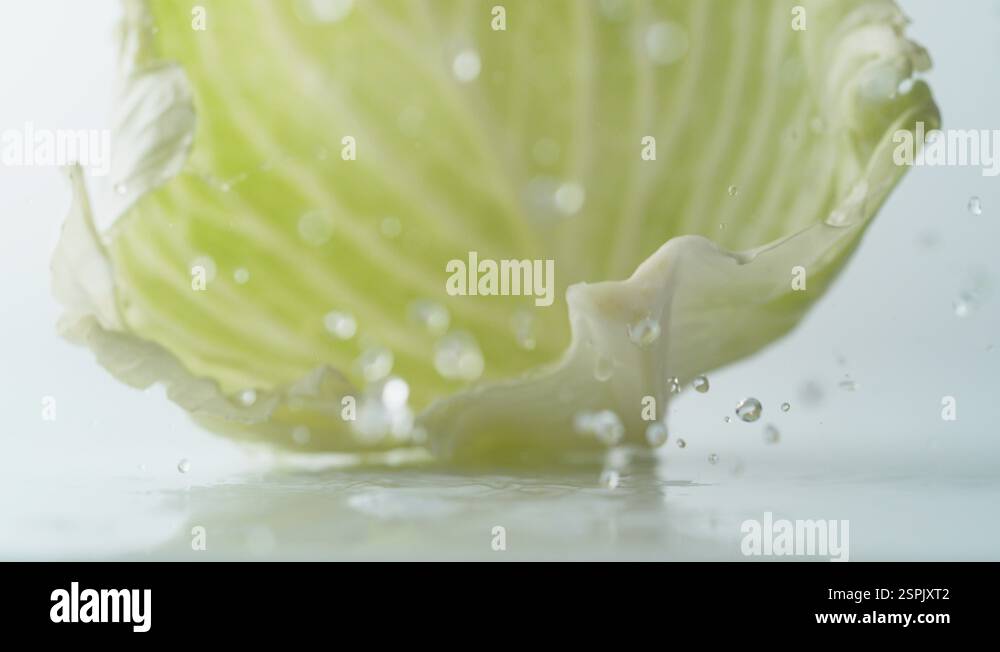 A green cabbage leaf falling on water surface. Slow Motion Stock Video ...