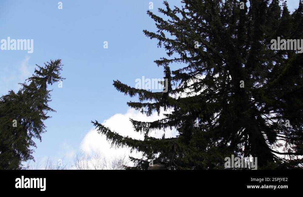 Hero monument, camera tilt Stock Video Footage - Alamy