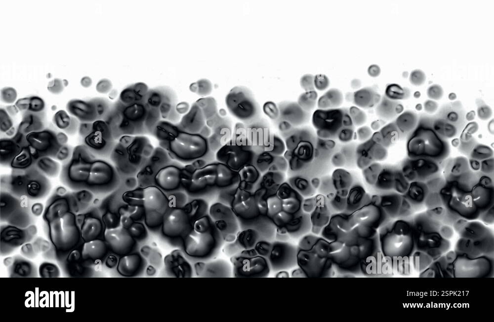 black boil colloid bubble,like as cells and virus.Fountain,water,spray ...
