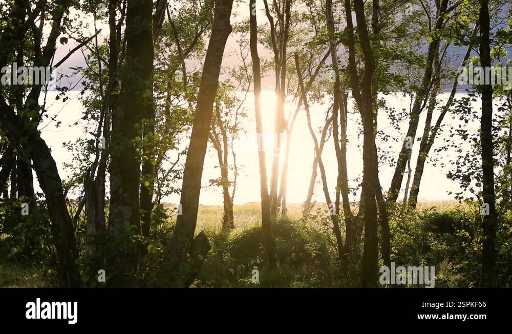 Dazzling Rays of a setting sun bounce off the flowing waters of a ...