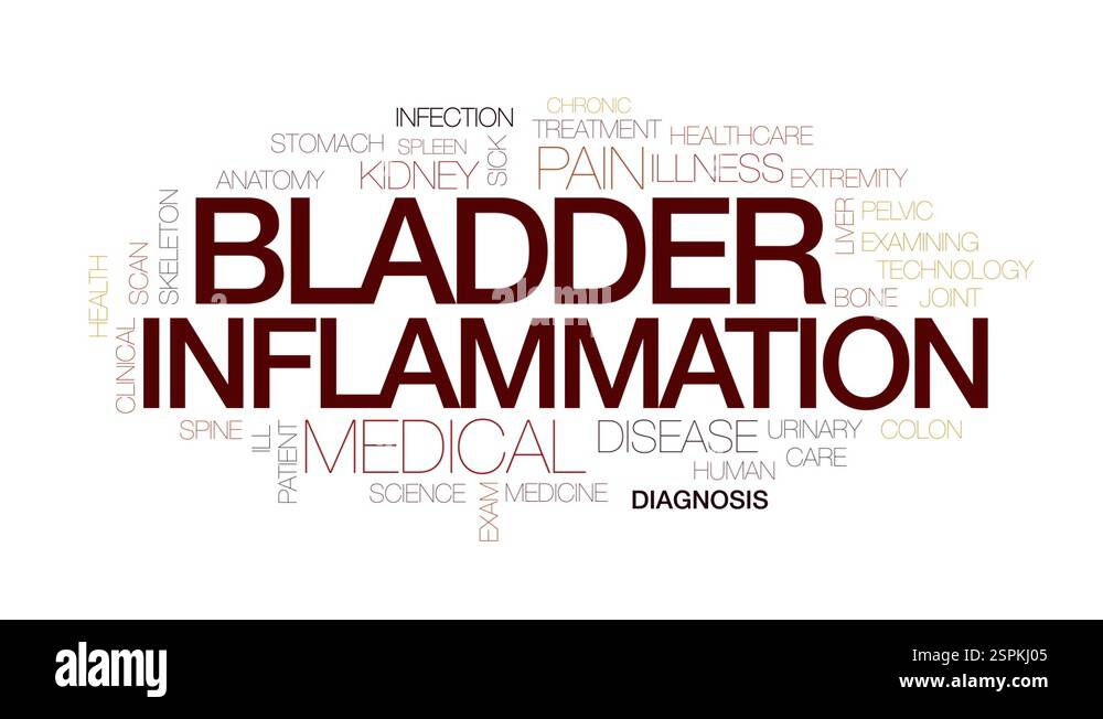 Bladder inflammation animated word cloud, text design animation ...