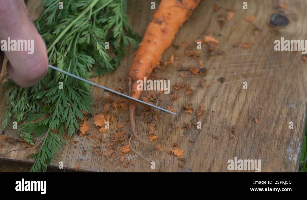 man is cleaning carrots Stock Video Footage - Alamy