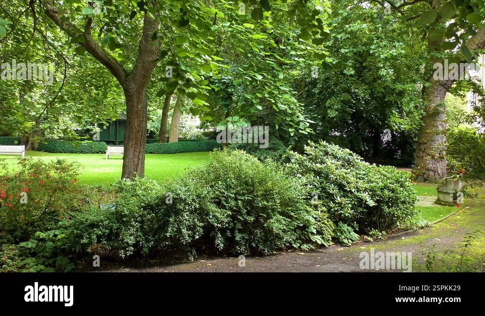 Green park london trees Stock Videos & Footage - HD and 4K Video Clips ...