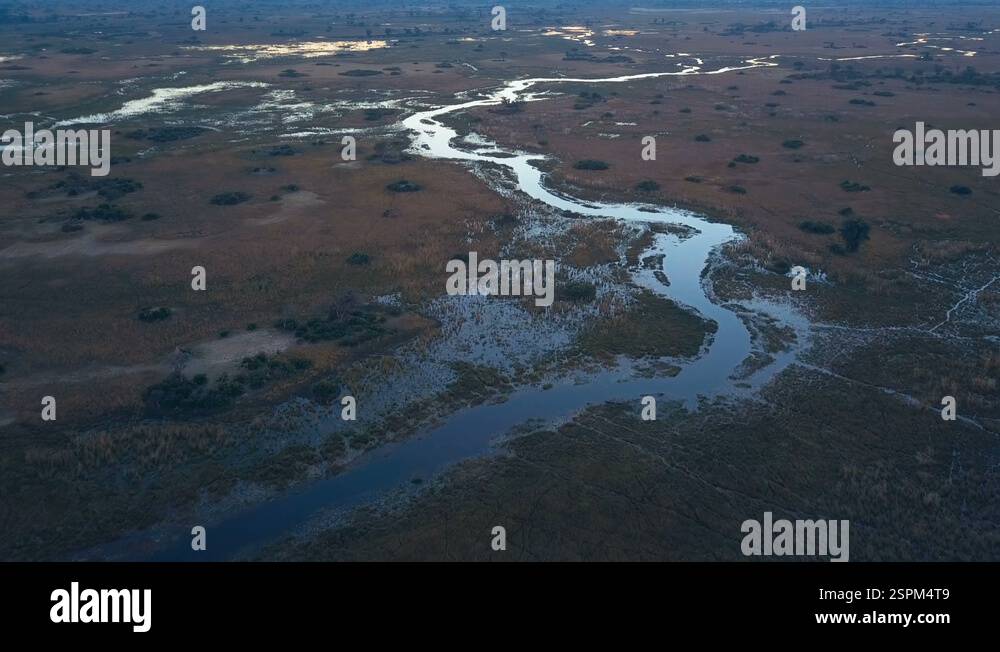 Shallow floodplain at sunset crossed by animal tracks on the Okavango ...