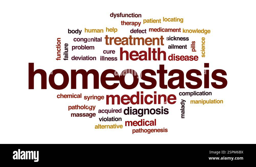 Homeostasis animated word cloud, text design animation Stock Video ...