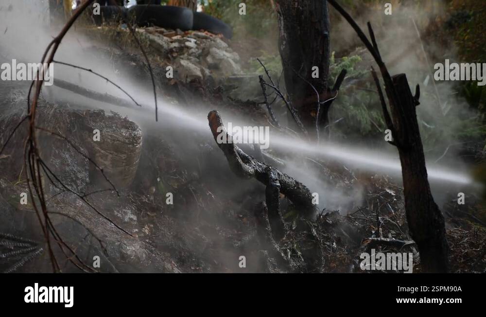 catastrophic consequences of forest fires. fire extinguishing in the ...