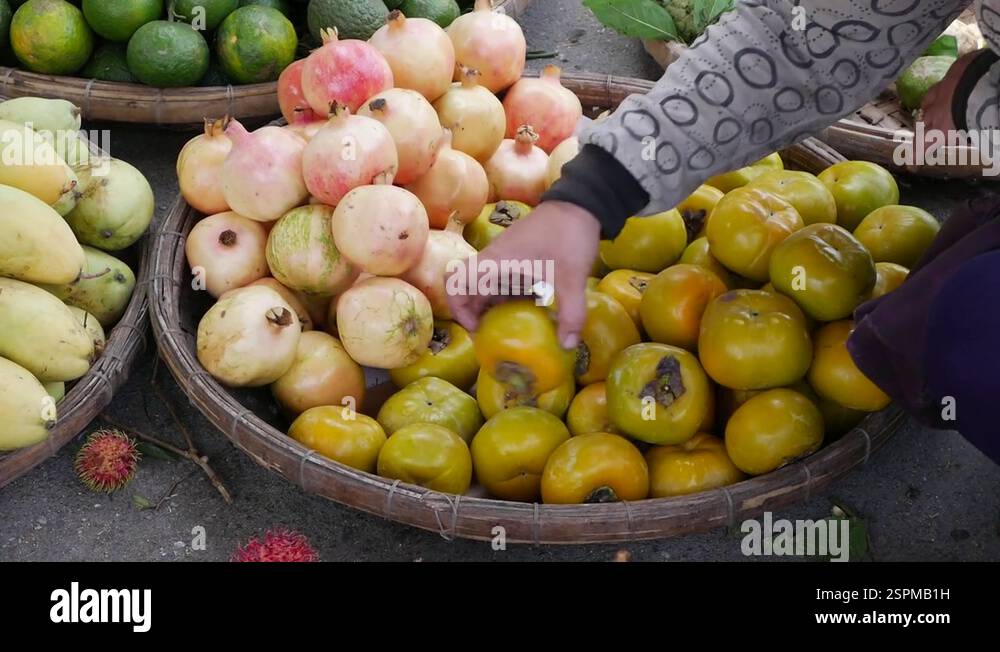 Closeup the female hand sorts the fruit in the basket in the local ...