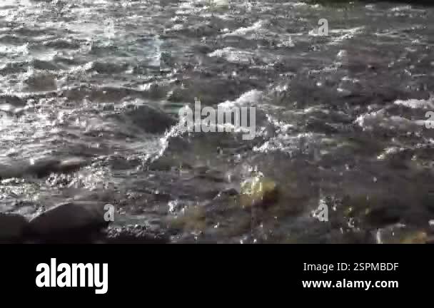 river flowing on the shore Stock Video Footage - Alamy