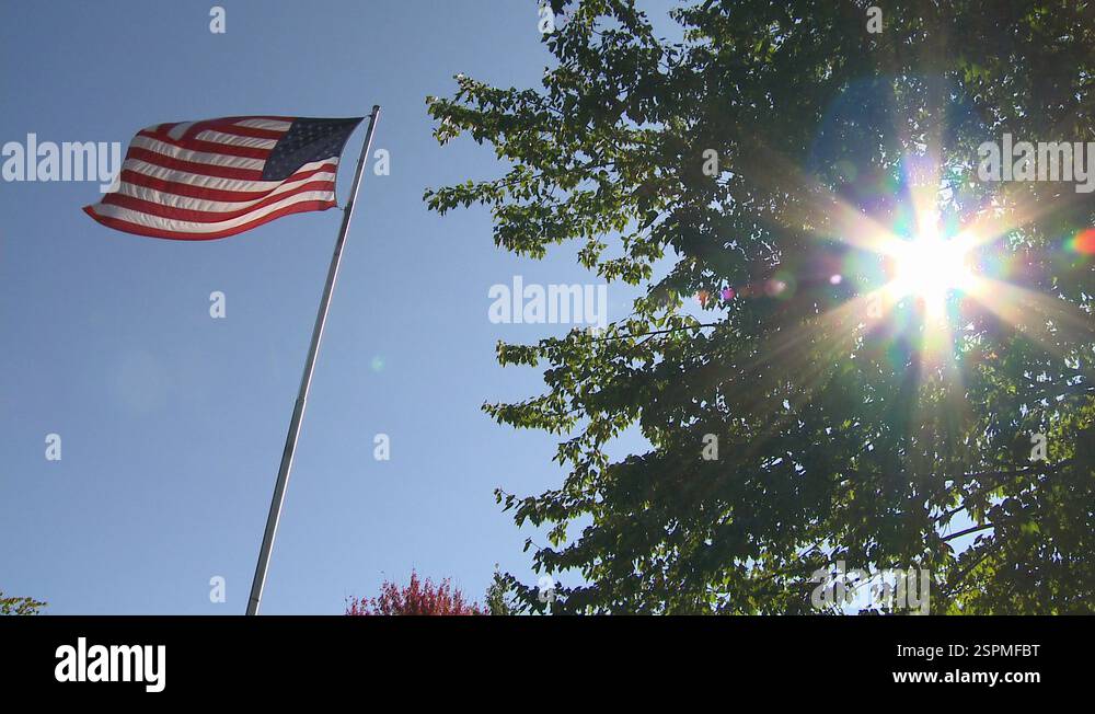 American Flag sun in tree 2 Stock Video Footage - Alamy