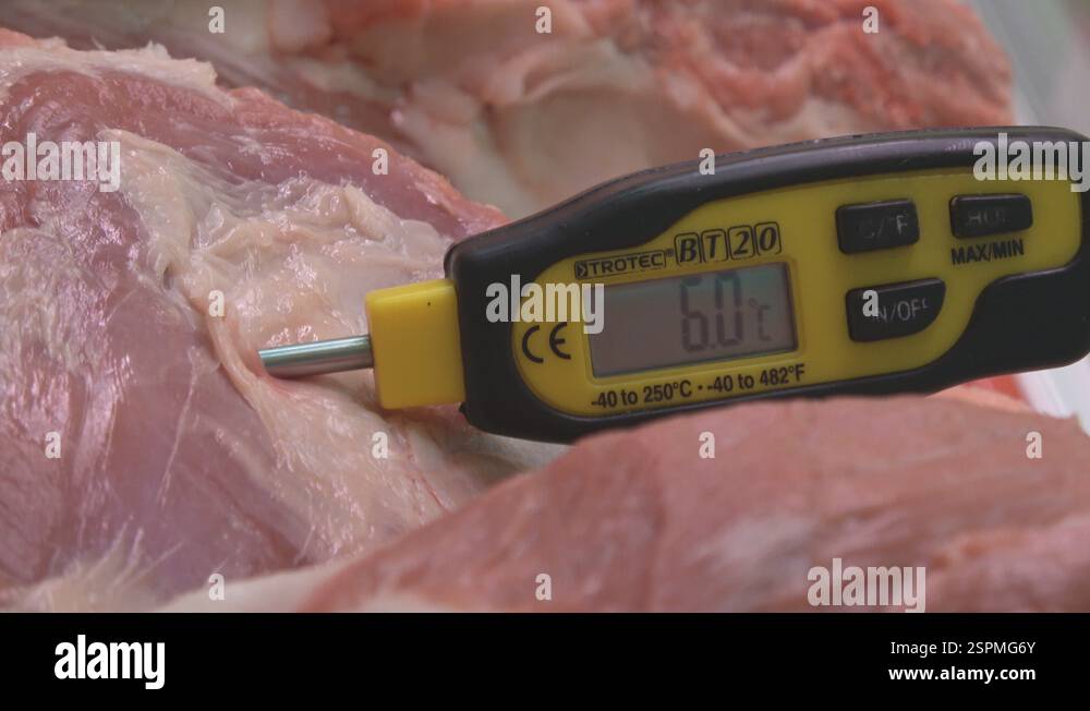 measuring the temperature of the meat in the butcher Stock Video ...