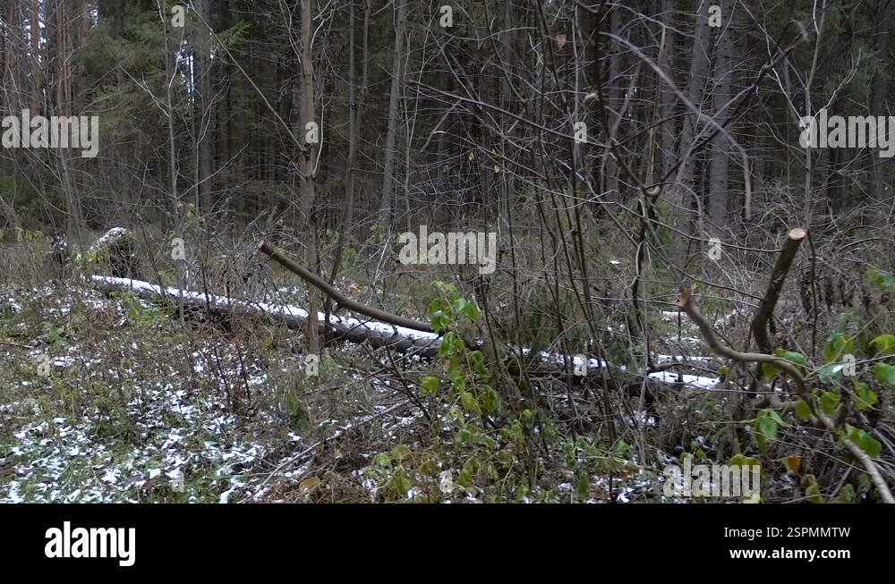 Video mess Stock Videos & Footage - HD and 4K Video Clips - Alamy