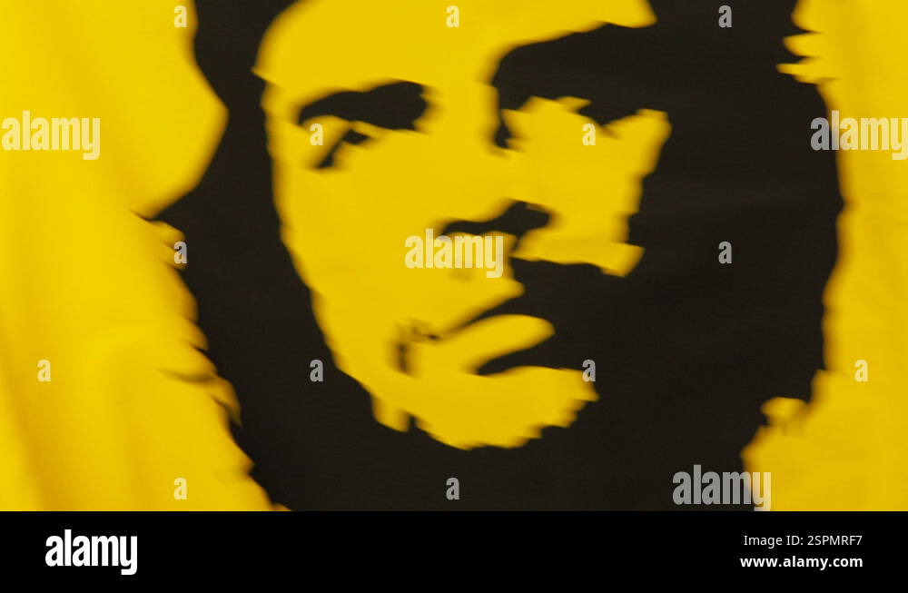 Flag of Che Guevara. Waving flag with Che Guevara Stock Video Footage ...
