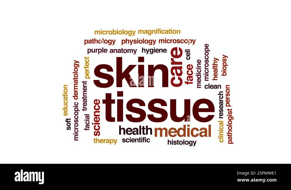 Skin tissue animated word cloud, text design animation Stock Video ...