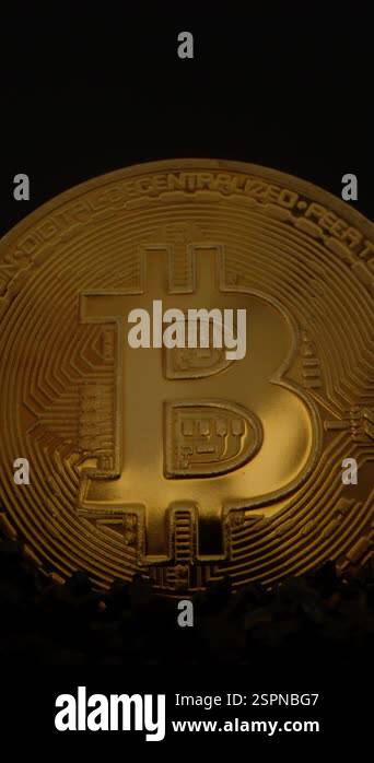 Vertical video. Bitcoin Coin Sticking Out of Rocks, Its Bright Surface ...
