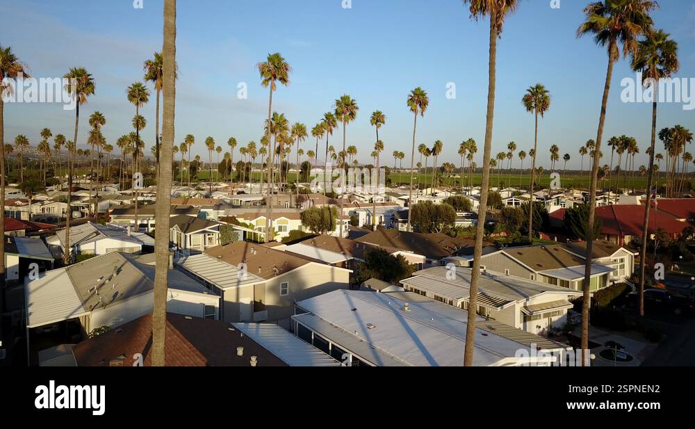 Southern California Oxnard Neighborhood Palm Tree Aerial Stock Video ...