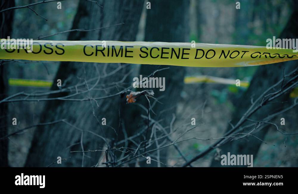 Crime scene plastic tape at police investigation site, physical ...