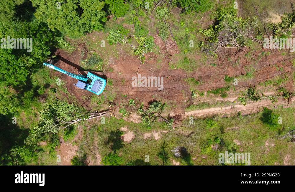 The top view of the deforestation Stock Video Footage - Alamy