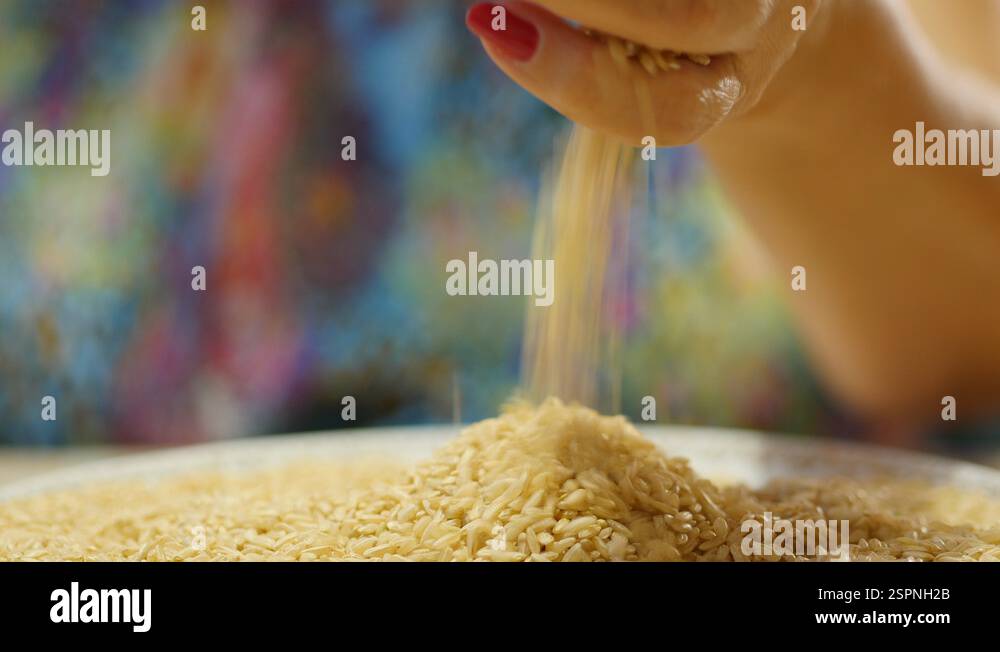 White Rice Falling From Woman's Hand Stock Video Footage - Alamy