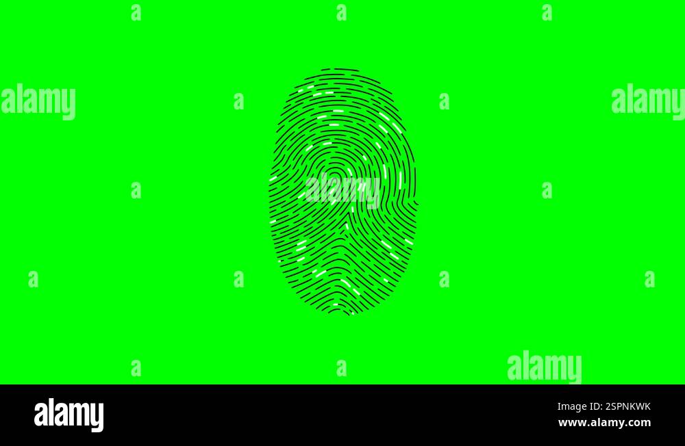 Recognition patterns Stock Videos & Footage - HD and 4K Video Clips - Alamy