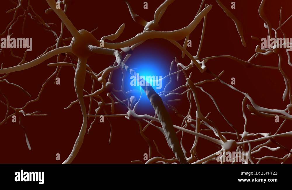 Electric impulse running through a neural network of brain cells Stock ...