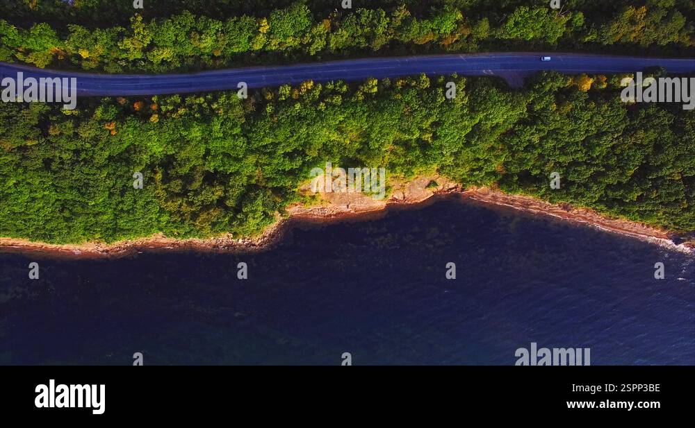 Aerial top view of road running along coastline among green woods ...