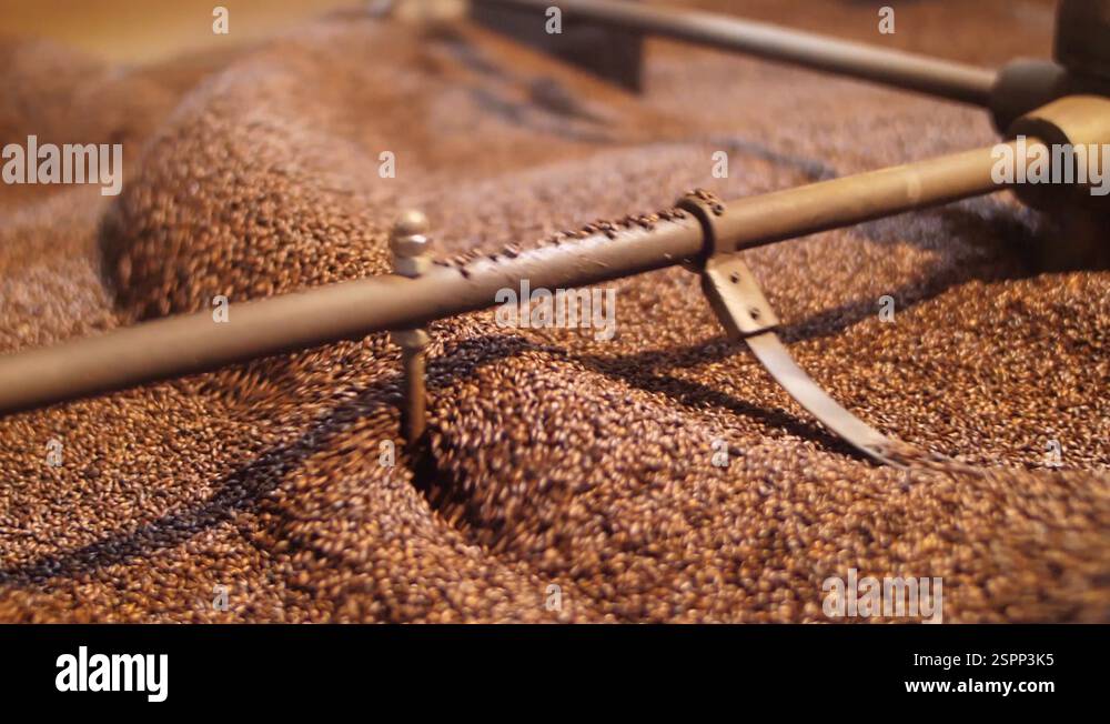 process of mixing and roasting coffee beans production slow motion ...