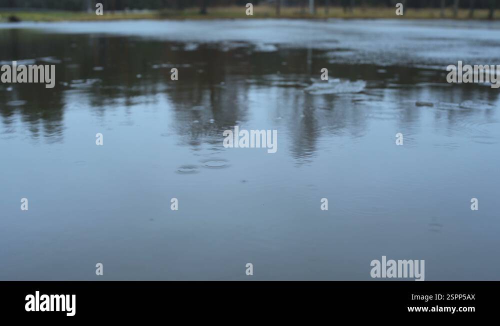 Thin ice floats in the lake while it's raining Stock Video Footage - Alamy