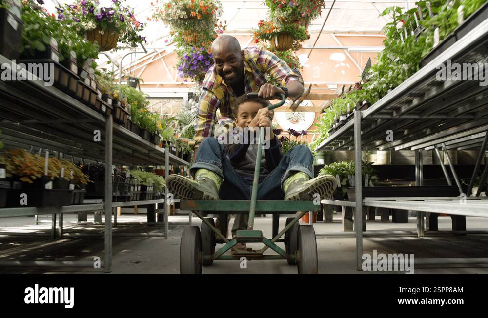 Father son cart Stock Videos & Footage - HD and 4K Video Clips - Alamy