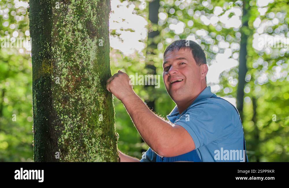 Forester is knocking on a tree trunk and leaning a head to the trunk ...