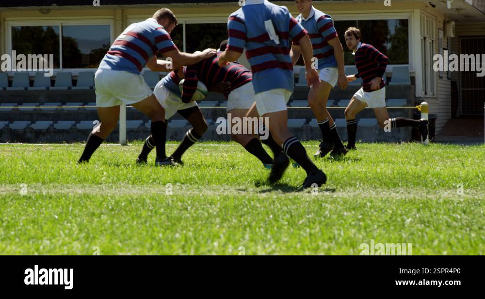 Rugby players tackling during game 4k Stock Video Footage - Alamy