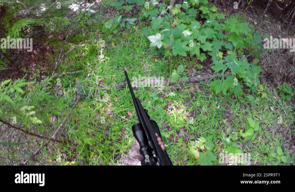 Hunter hunting with shotgun 4k Stock Video Footage - Alamy