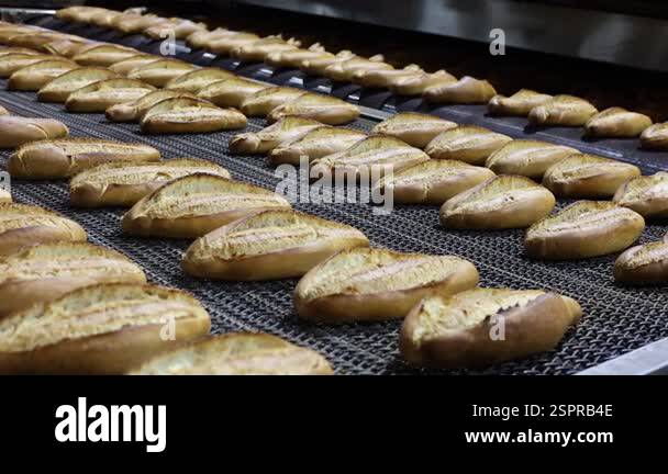freshly baked loaves of bread coming out of an industrial oven Stock ...