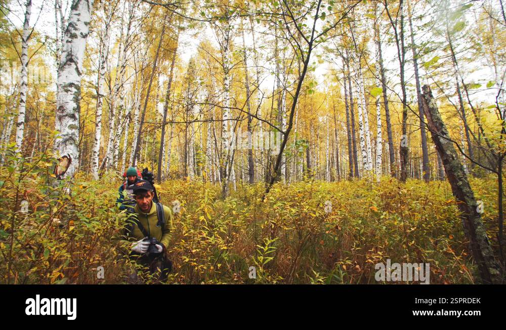 Tourists walk through high grass in autumn Sikhote-Alin Nature Reserve ...