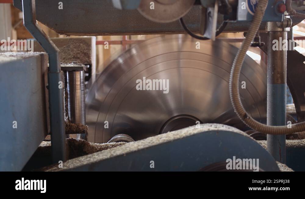 Running industrial big circular blade saw at woodwork machine Stock ...