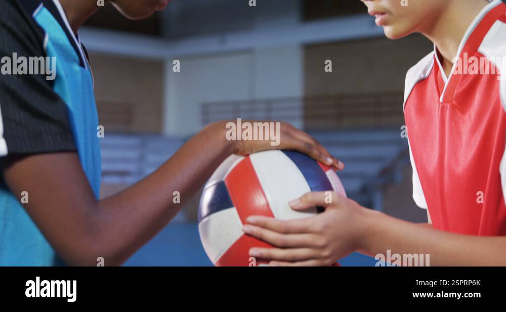 Volleyball players standing face to face with volleyball 4k Stock Video ...