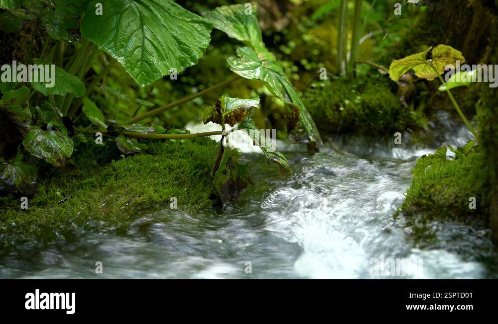 Stream water flow in Plitvice Lakes, Croatia Stock Video Footage - Alamy