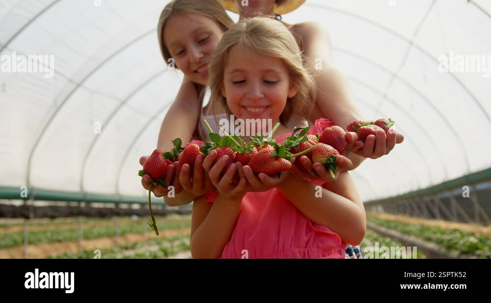 Girls holding strawberries in the farm 4k Stock Video Footage - Alamy