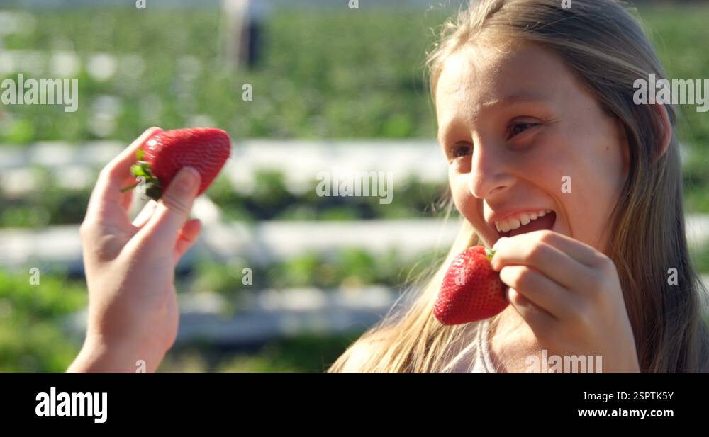 Girls holding strawberries in the farm 4k Stock Video Footage - Alamy